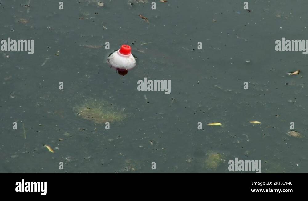 Floating dirty water Stock Videos & Footage - HD and 4K Video Clips - Alamy