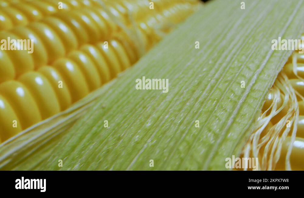 Corn package Stock Videos & Footage - HD and 4K Video Clips - Alamy