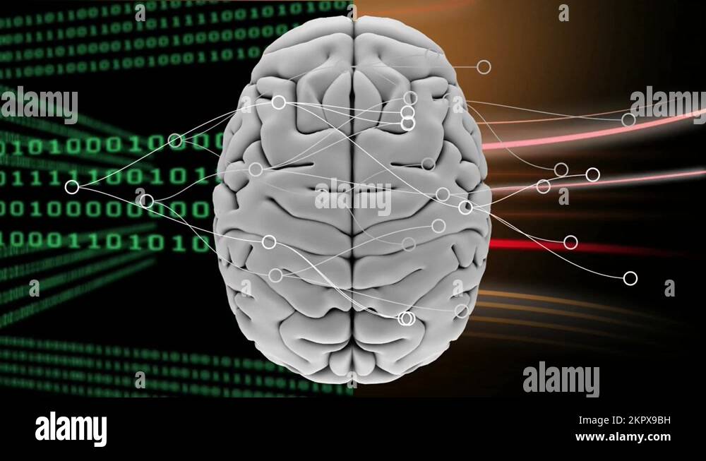 Animation human brain binary coding Stock Videos & Footage - HD and 4K Video Clips - Alamy
