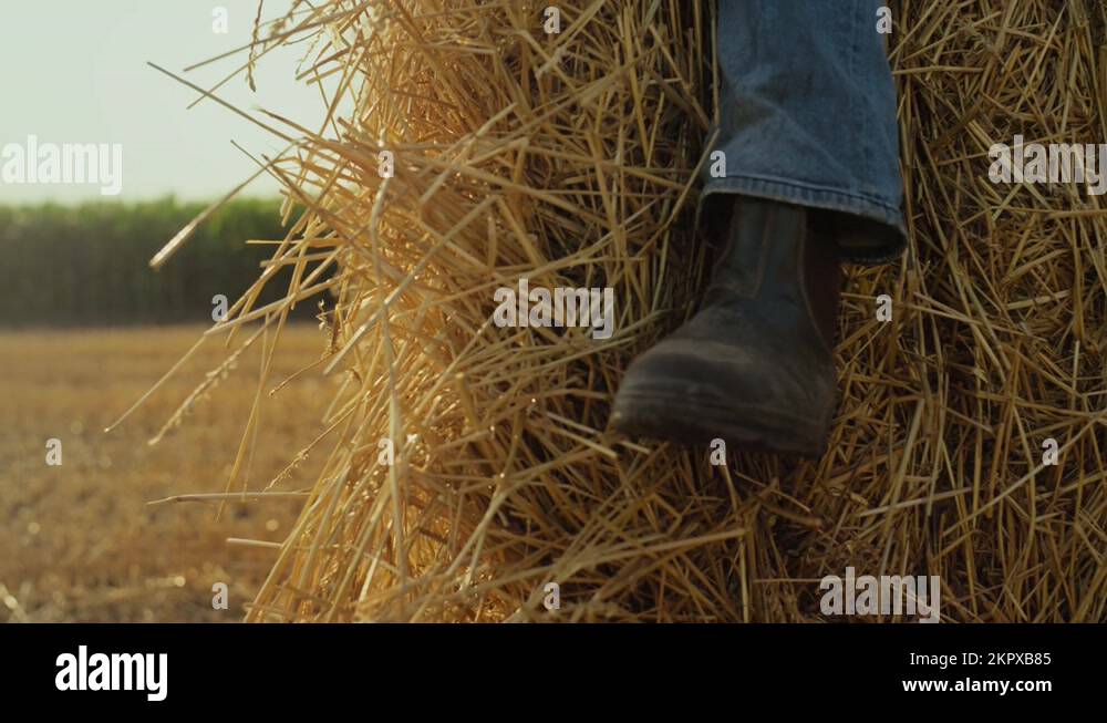 Hay boot Stock Videos & Footage - HD and 4K Video Clips - Alamy