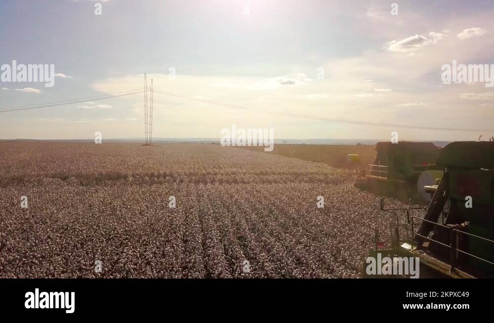 Crop pickers Stock Videos & Footage - HD and 4K Video Clips - Alamy