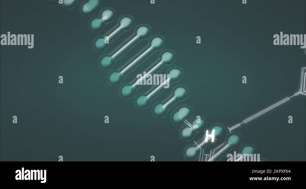 Animation chemical structures dna strand Stock Videos & Footage - HD ...