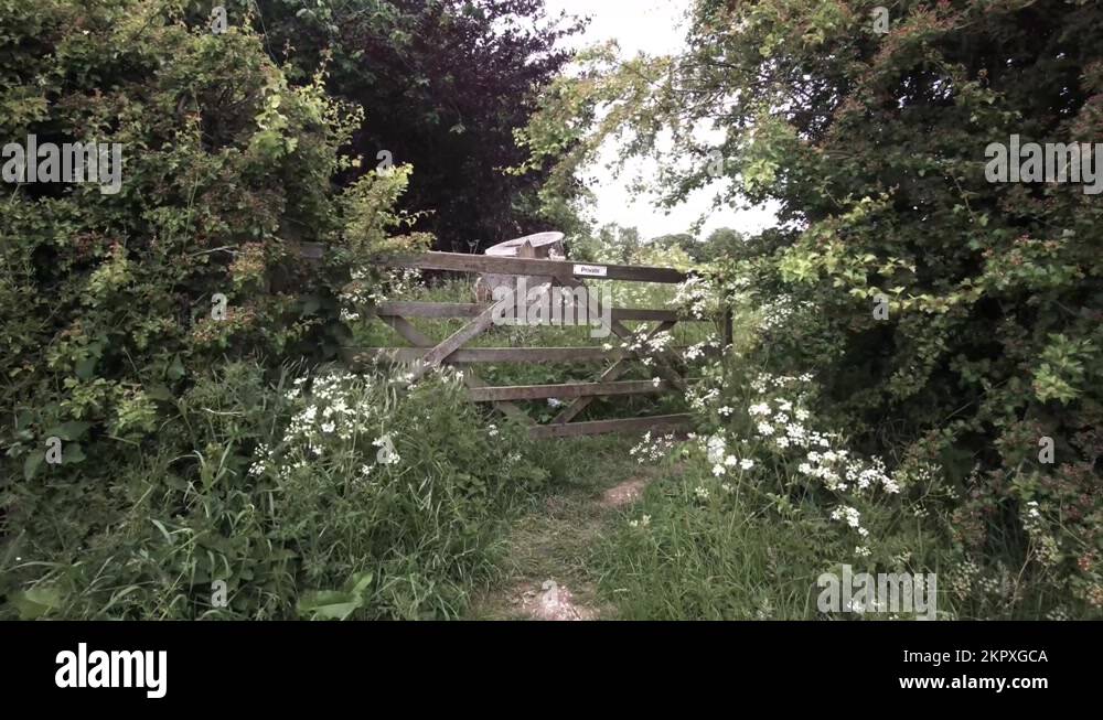 Wooden gate path pathway Stock Videos & Footage - HD and 4K Video Clips ...