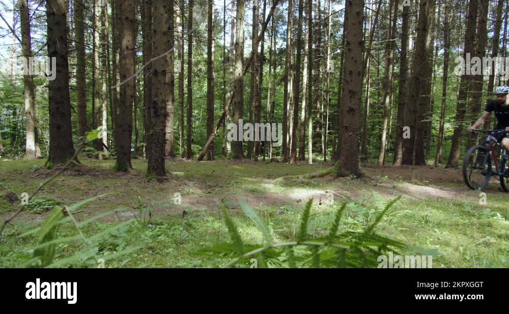 MTB Biker comes in the frame in the green magical forest 4k Stock Video ...