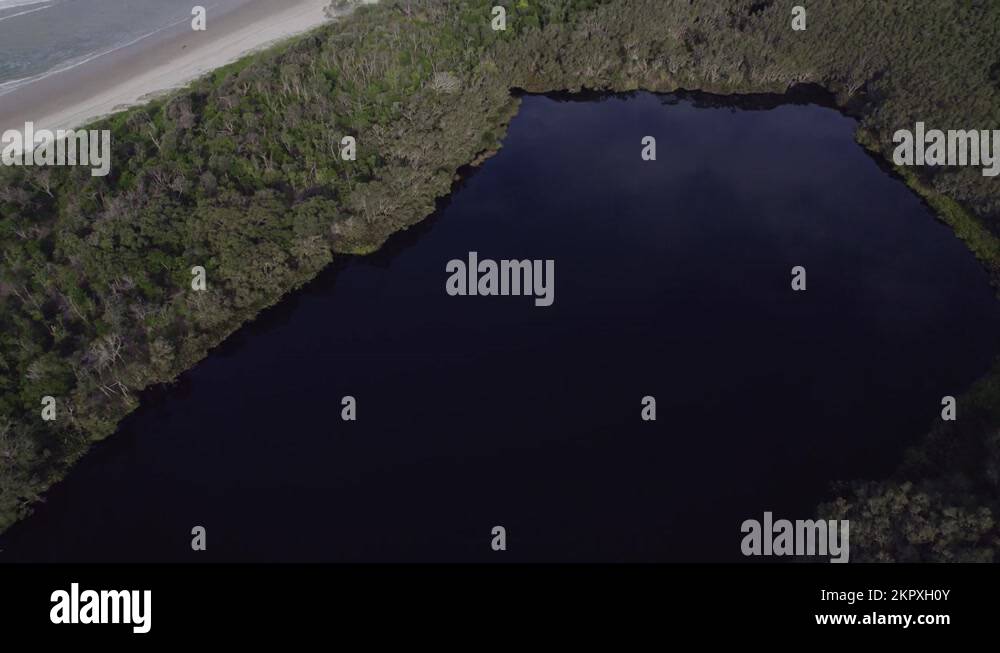 Ti tree Stock Videos & Footage - HD and 4K Video Clips - Alamy