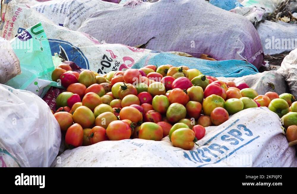 Rotten food pile Stock Videos & Footage - HD and 4K Video Clips - Alamy