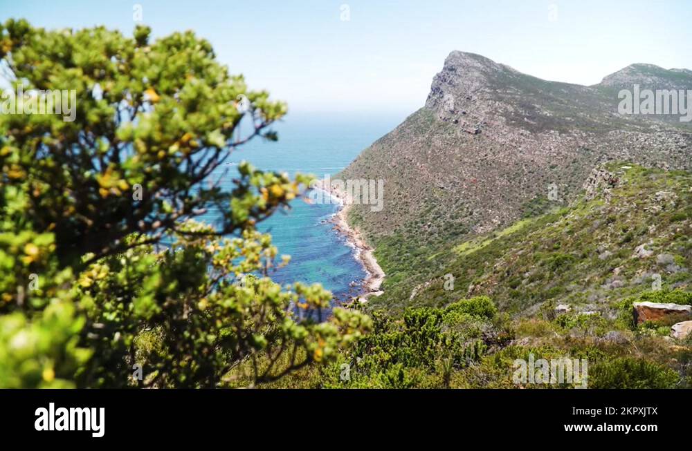 Cape point Stock Videos & Footage - HD and 4K Video Clips - Alamy
