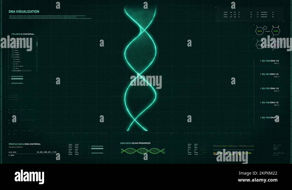 Molecular examination of the nuclear atom cells in the virtual DNA ...