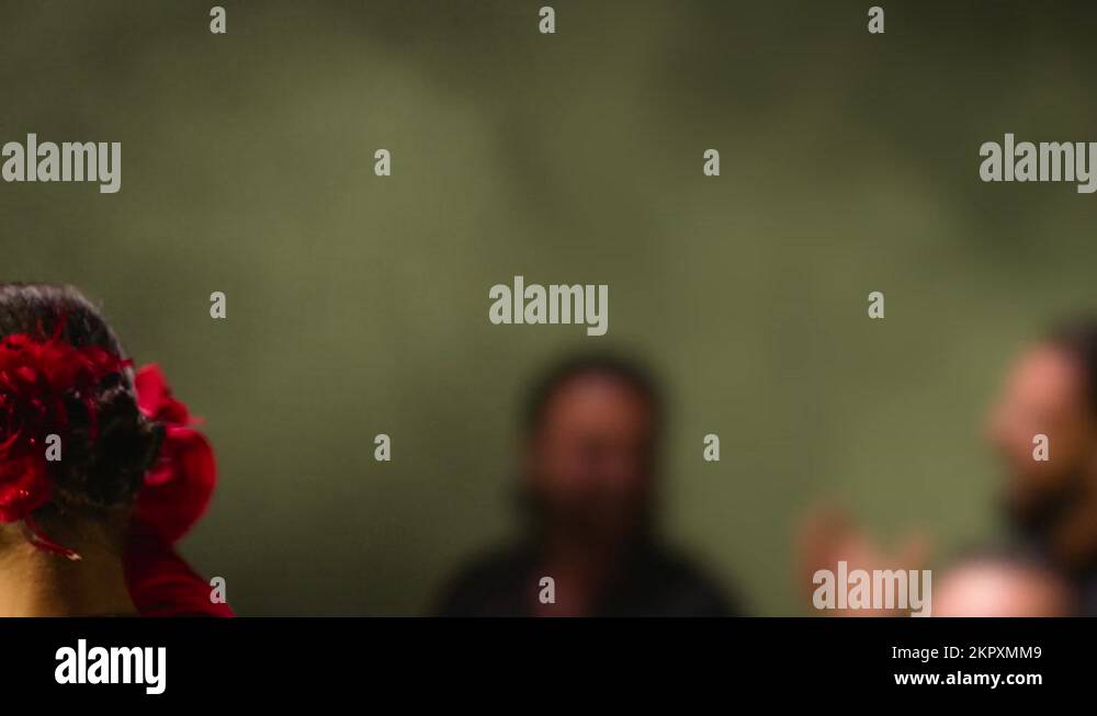 Woman dancing spanish style dance . Group of men playing on guitar and ...