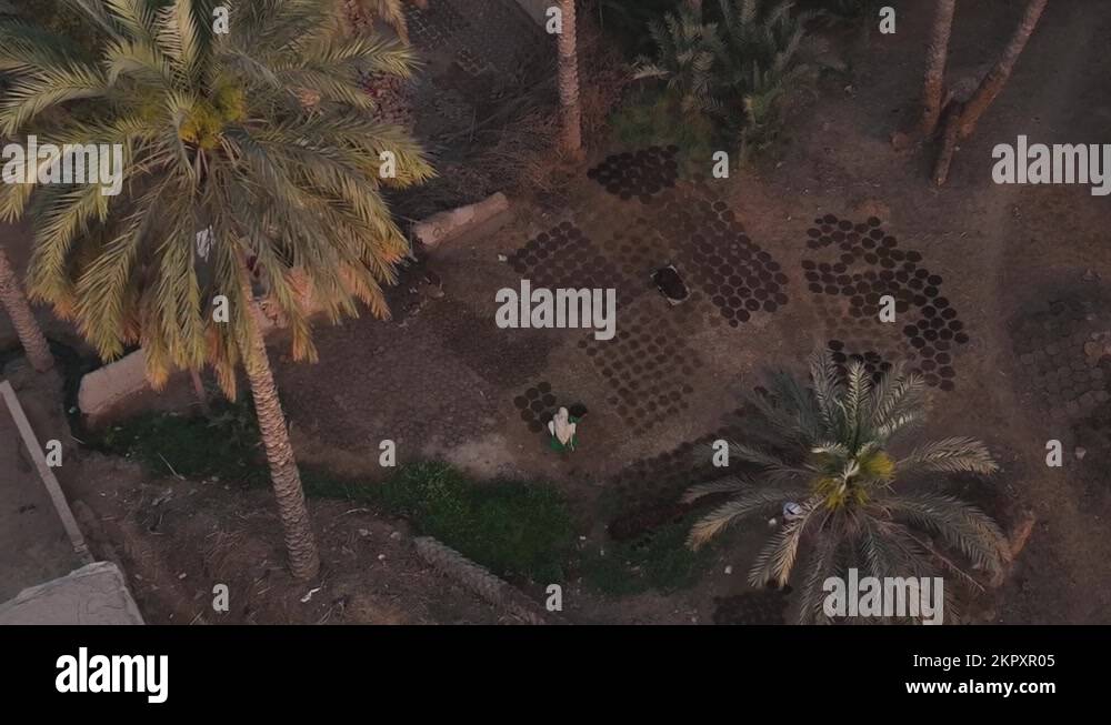 Farming tiles Stock Videos & Footage - HD and 4K Video Clips - Alamy