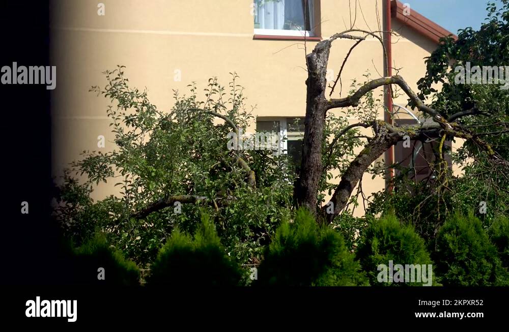 Spying on house Stock Videos & Footage - HD and 4K Video Clips - Alamy