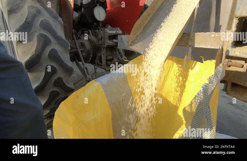 Village food factory india Stock Videos & Footage - HD and 4K Video ...