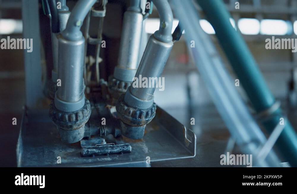 Cow milking device placed in technological farm close up. Milk ...