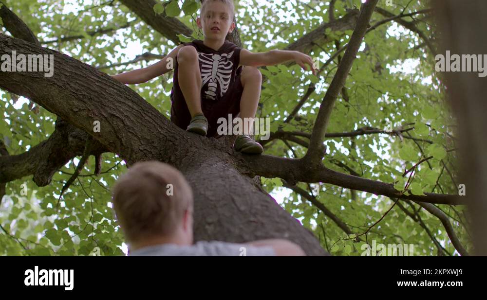 Children climb the tree. Communication of child with brother with Down ...