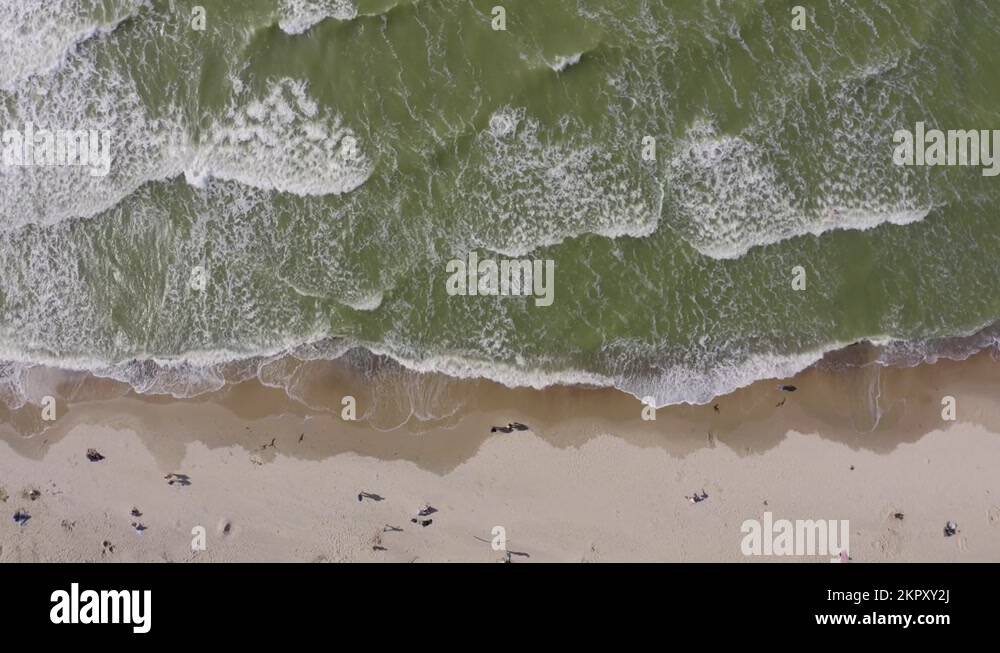 Baltic people Stock Videos & Footage - HD and 4K Video Clips - Alamy