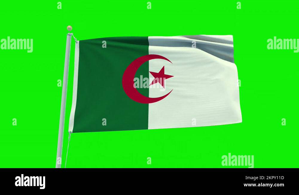 Seamless loop animation of the Algeria flag on a green screen ...