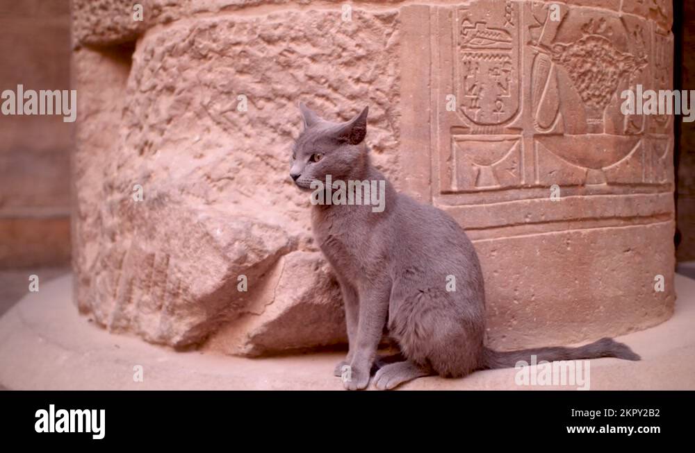 Column with hieroglyphs Stock Videos & Footage - HD and 4K Video Clips ...