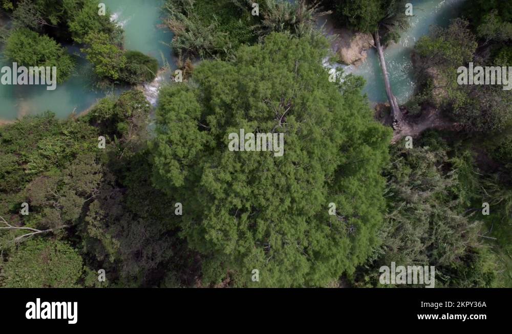 Canopy adventure park mexico Stock Videos & Footage - HD and 4K Video ...