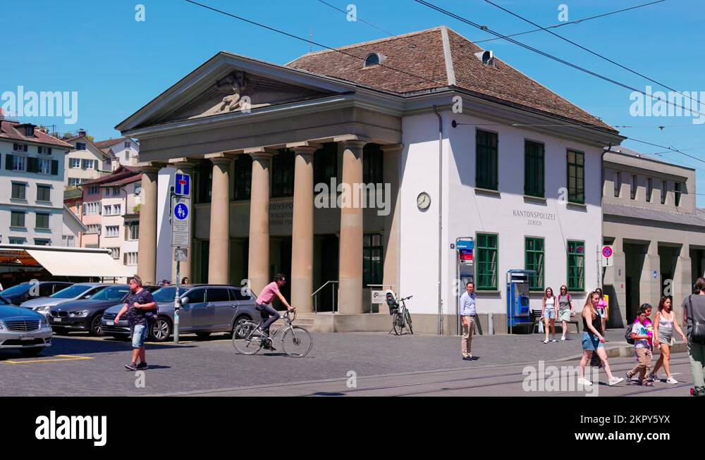Cantonal tree Stock Videos & Footage - HD and 4K Video Clips - Alamy