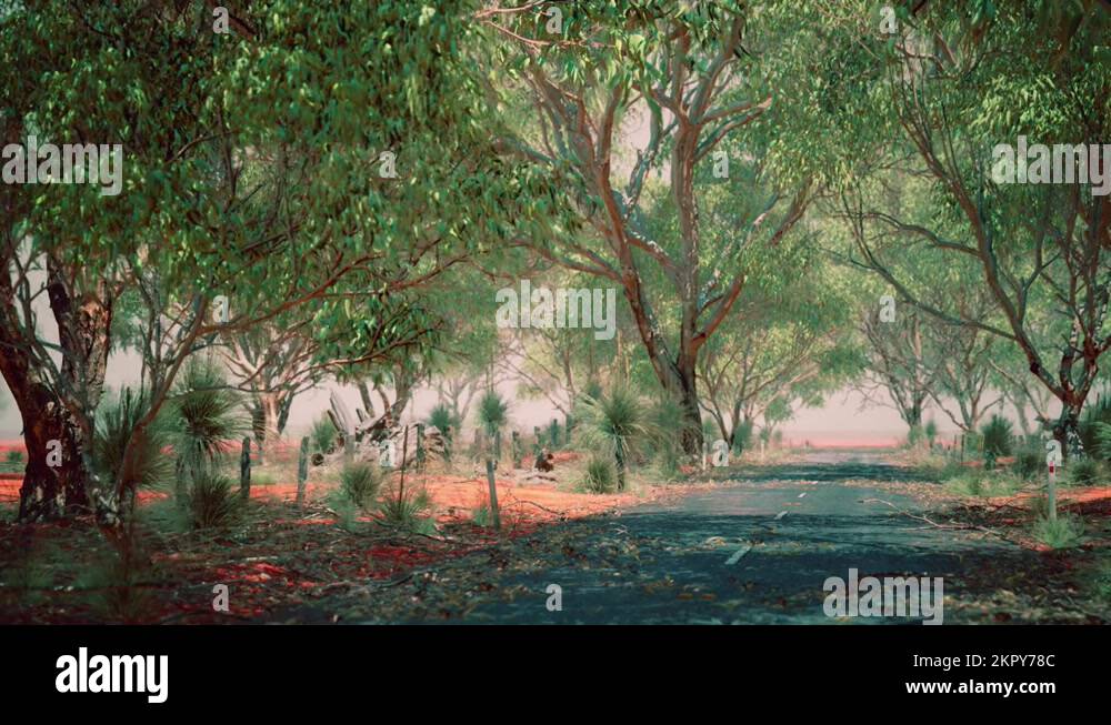 Open bush country Stock Videos & Footage - HD and 4K Video Clips - Alamy