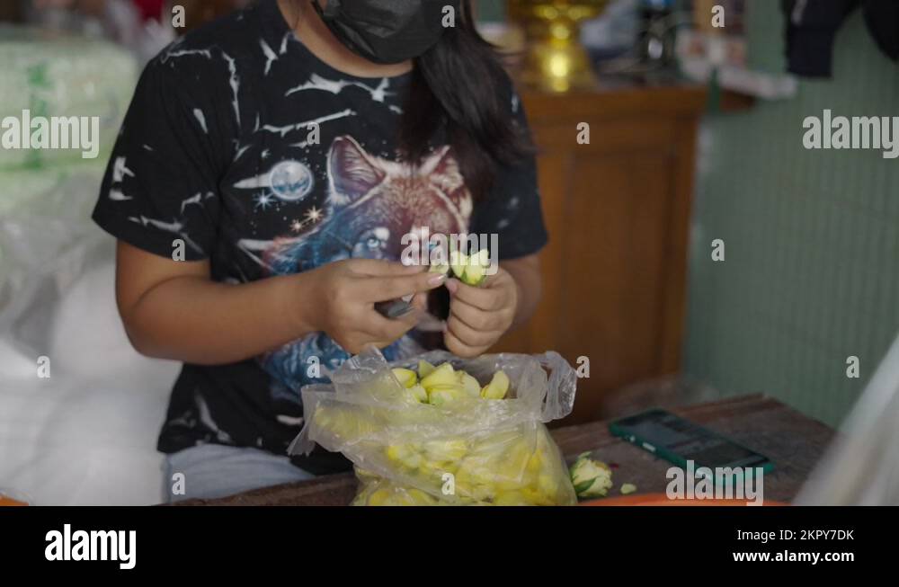 Plucking flower petals Stock Videos & Footage - HD and 4K Video Clips ...