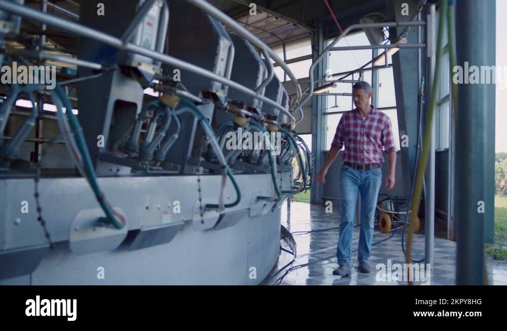 Livestock worker inspecting milking carousel at countryside. Farmer ...