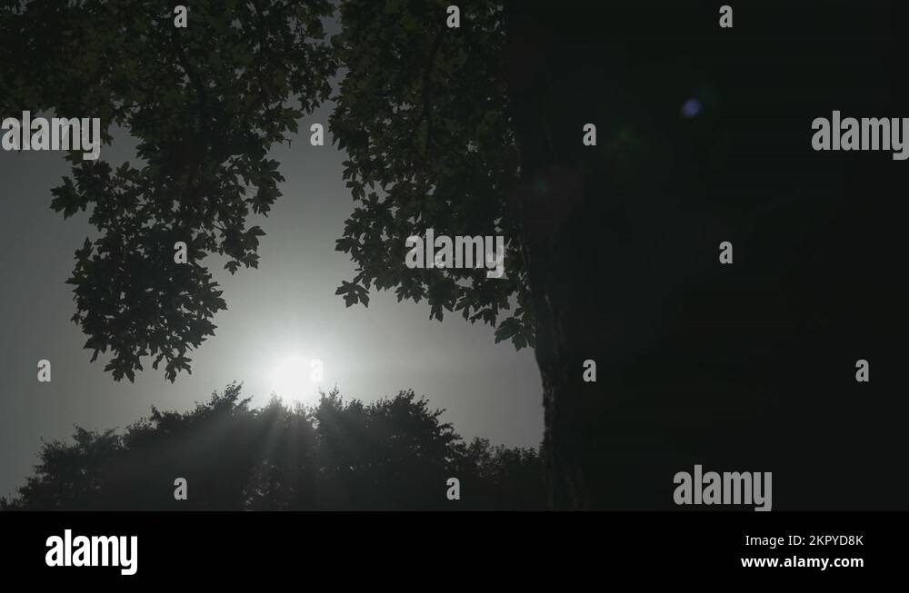 Sun splash Stock Videos & Footage - HD and 4K Video Clips - Alamy