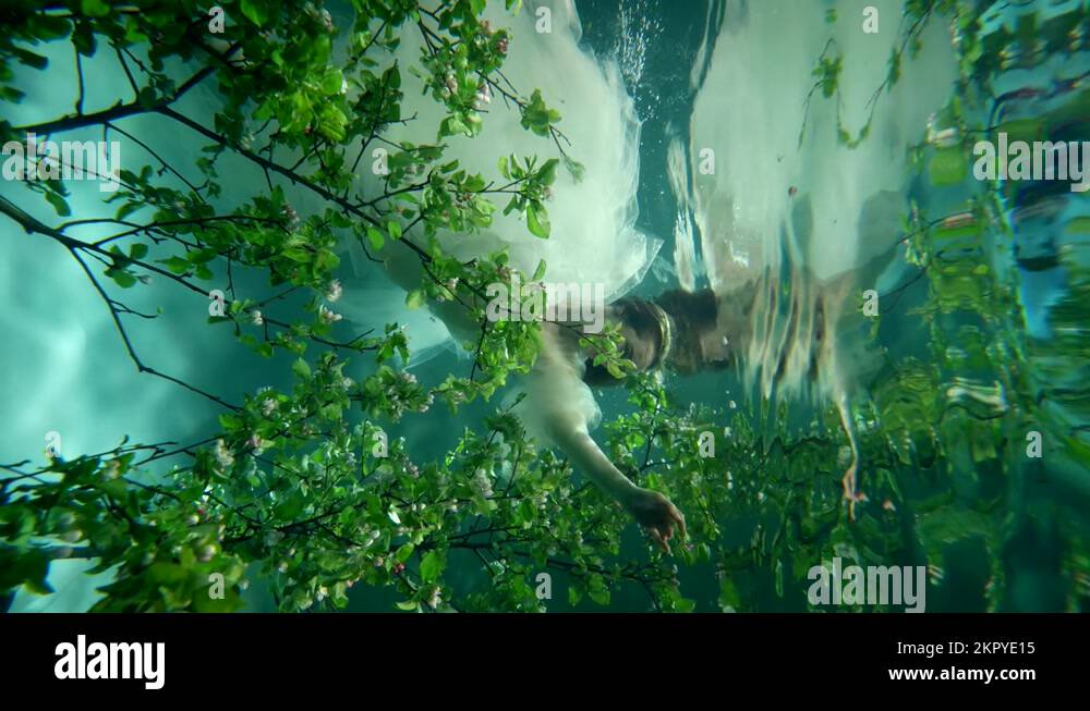 The garden of the princess Stock Videos & Footage - HD and 4K Video ...