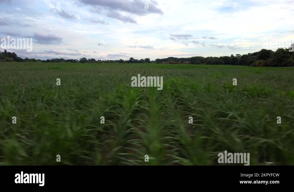 Britain agriculture Stock Videos & Footage - HD and 4K Video Clips - Alamy