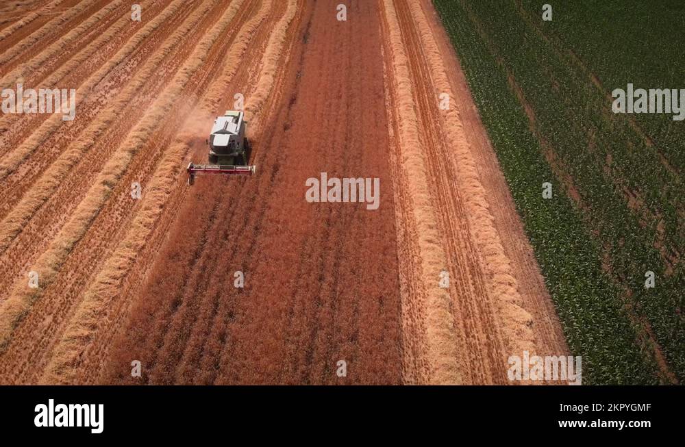 Agriculture activity Stock Videos & Footage - HD and 4K Video Clips - Alamy