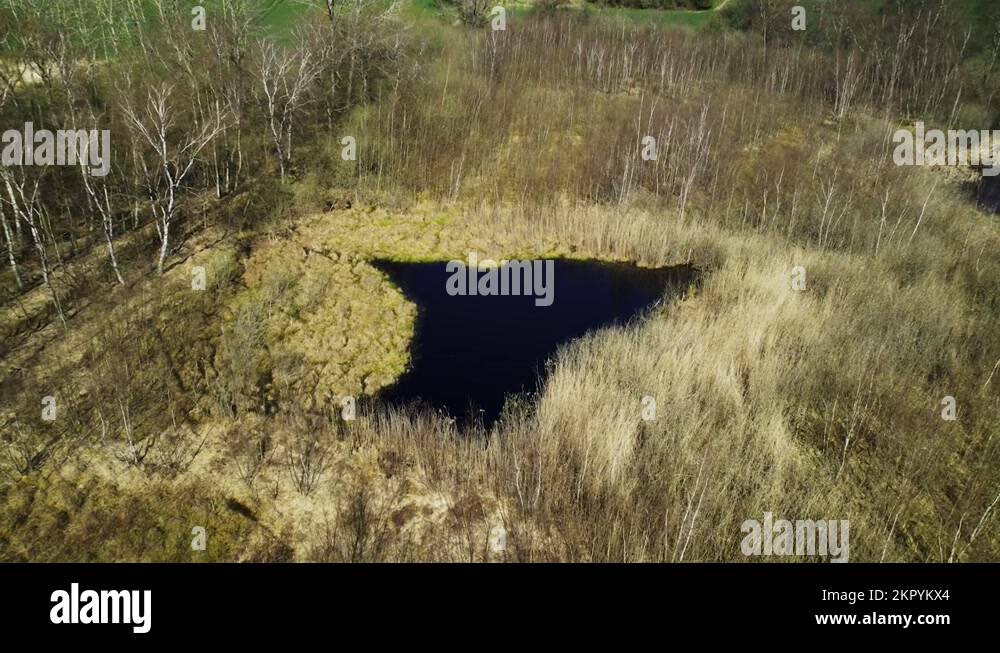 Dark pond Stock Videos & Footage - HD and 4K Video Clips - Alamy
