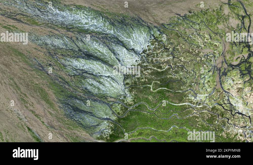 Unique patterns of river delta canals and wetland habitat; satellite ...