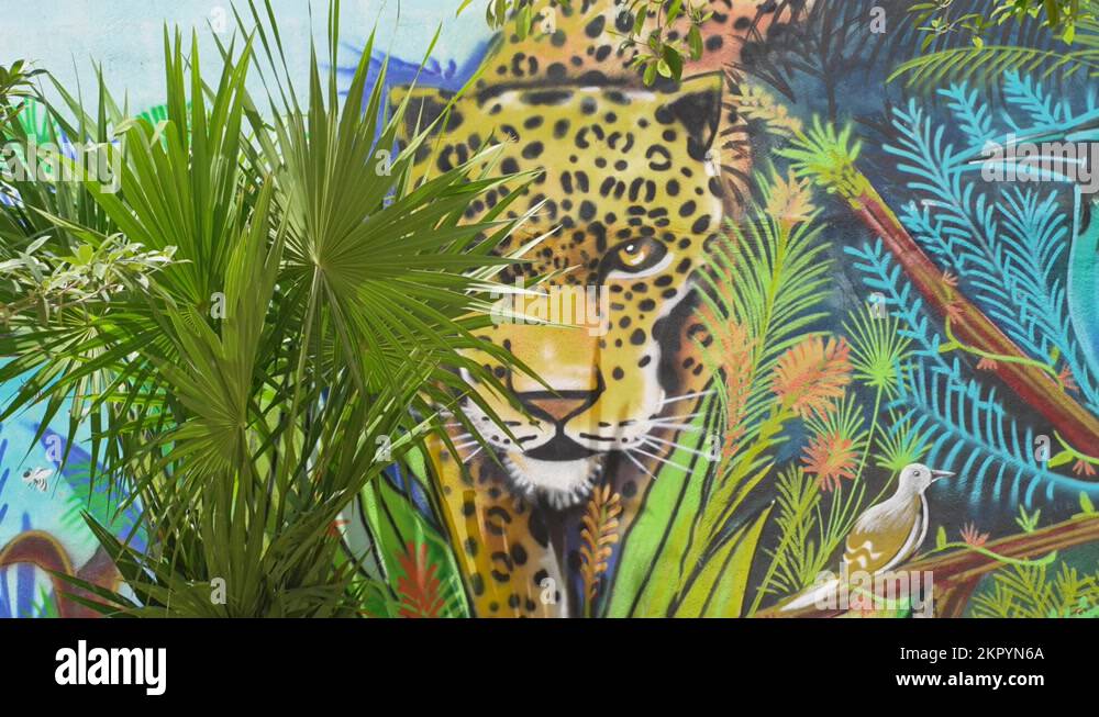 Mexican street art graffiti Stock Videos & Footage - HD and 4K Video ...
