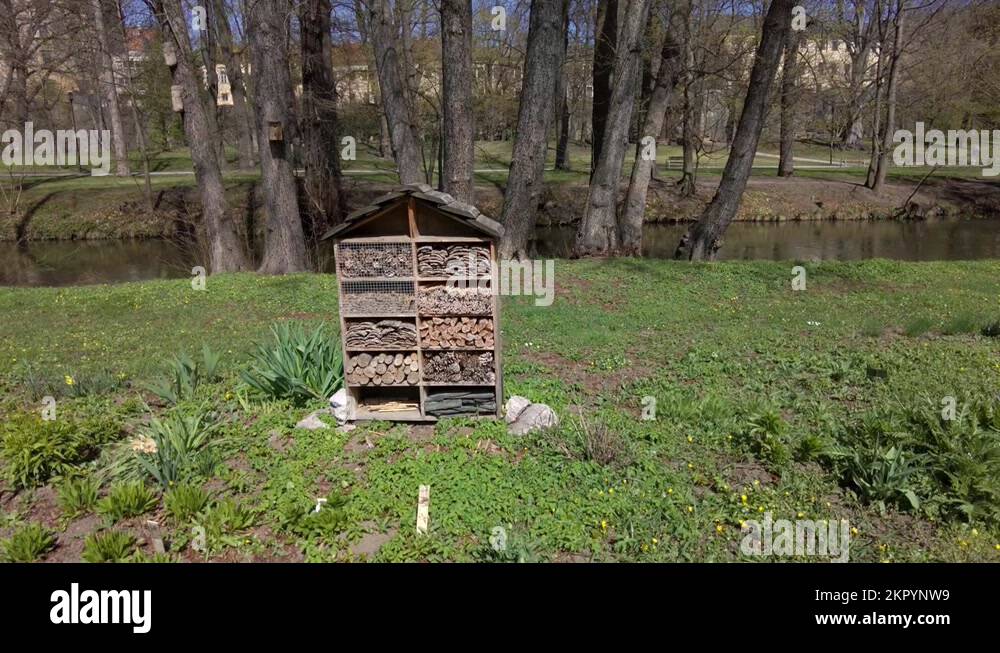 Eco friendly bug house Stock Videos & Footage - HD and 4K Video Clips ...