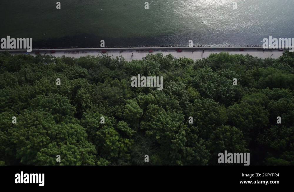 Sea front boulevard Stock Videos & Footage - HD and 4K Video Clips - Alamy