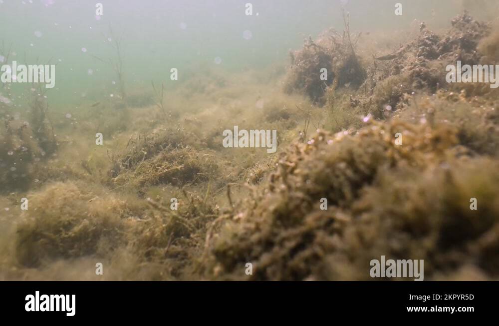 North sea water Stock Videos & Footage - HD and 4K Video Clips - Alamy