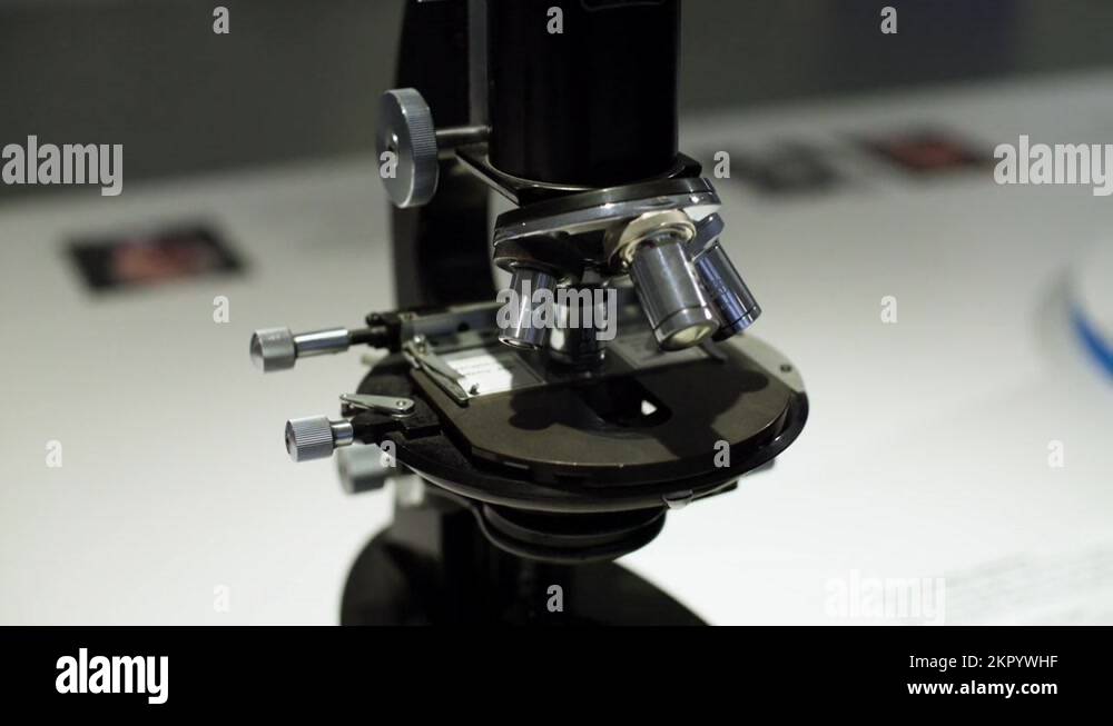 Microscope slide and closeup Stock Videos & Footage - HD and 4K Video ...