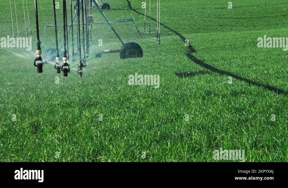 Central pivot irrigation system close up, water spraying from sprinkler ...