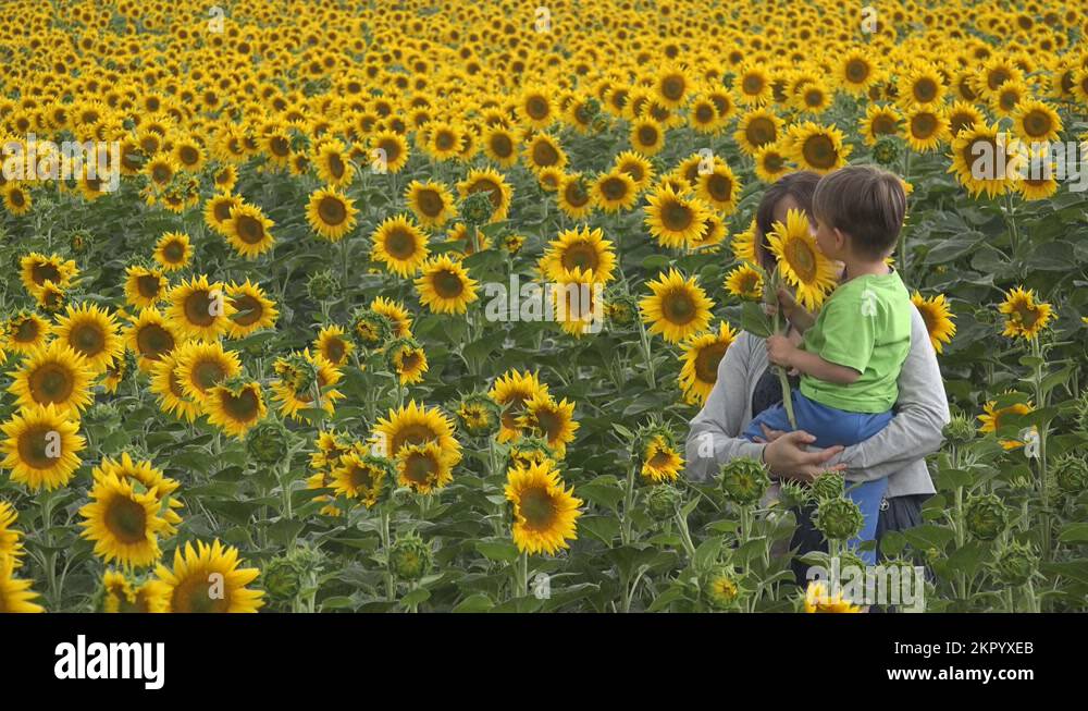 Kid admiring Stock Videos & Footage - HD and 4K Video Clips - Alamy