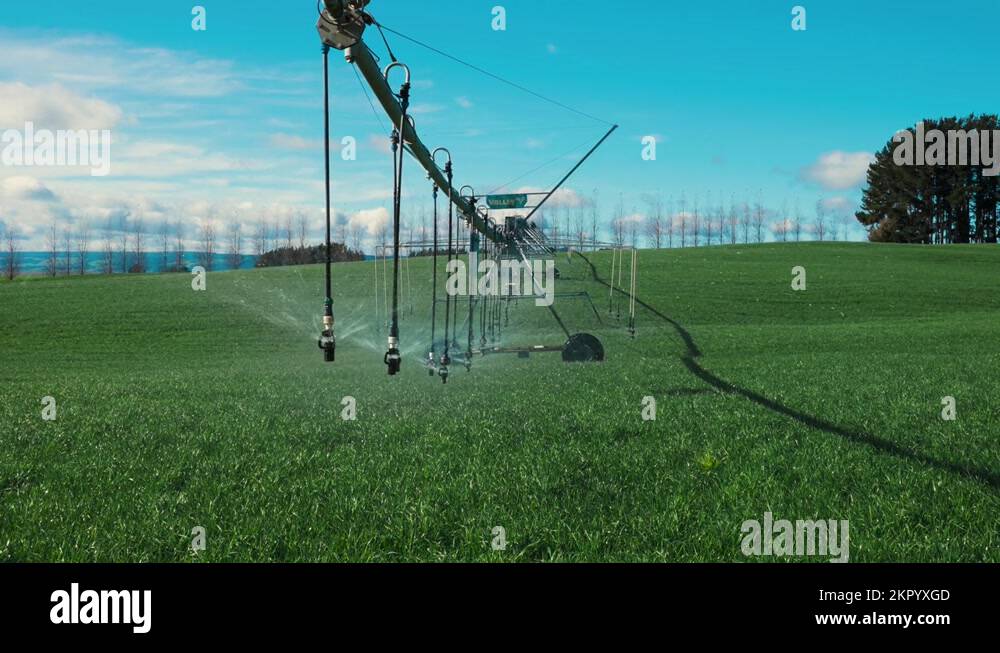 Sprinklers spraying water on growing crops in rolling hill farm land ...