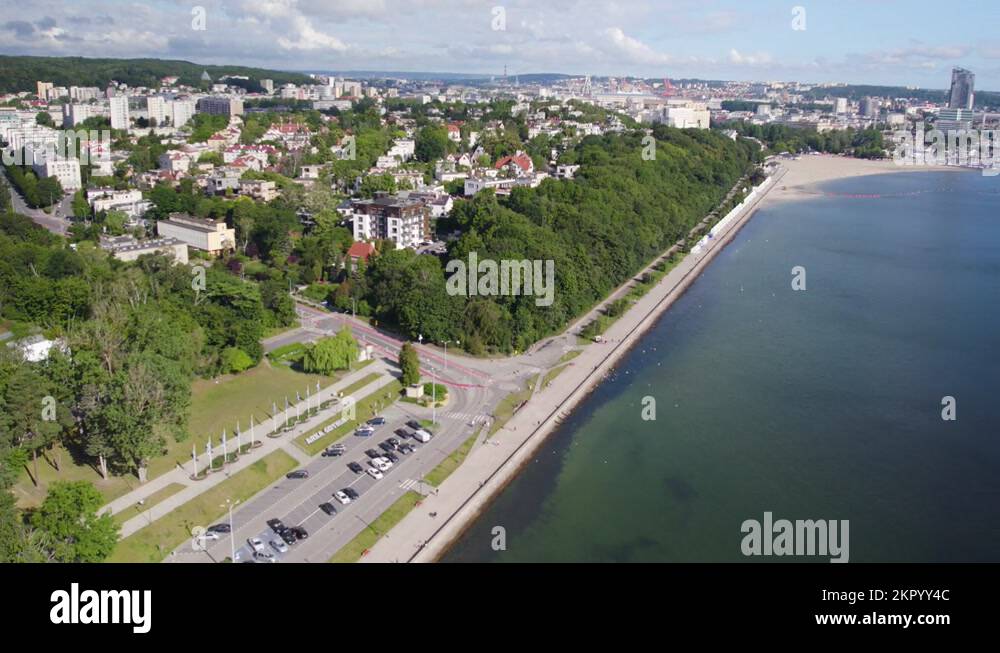 Boulevard trees Stock Videos & Footage - HD and 4K Video Clips - Alamy