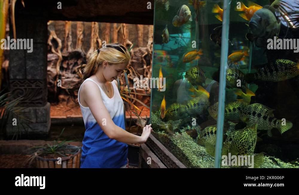 A teenage girl looks at the fish in a large aquarium Stock Video ...