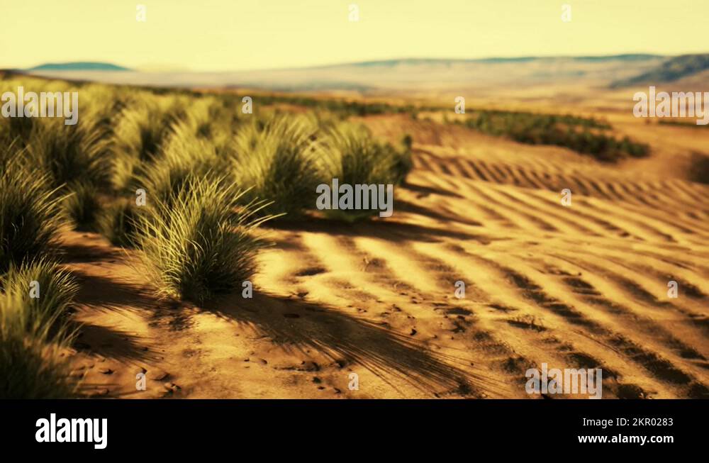 Flat desert Stock Videos & Footage - HD and 4K Video Clips - Alamy