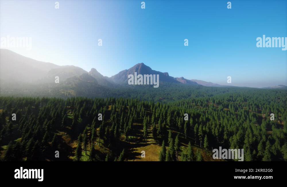 Cedar range Stock Videos & Footage - HD and 4K Video Clips - Alamy