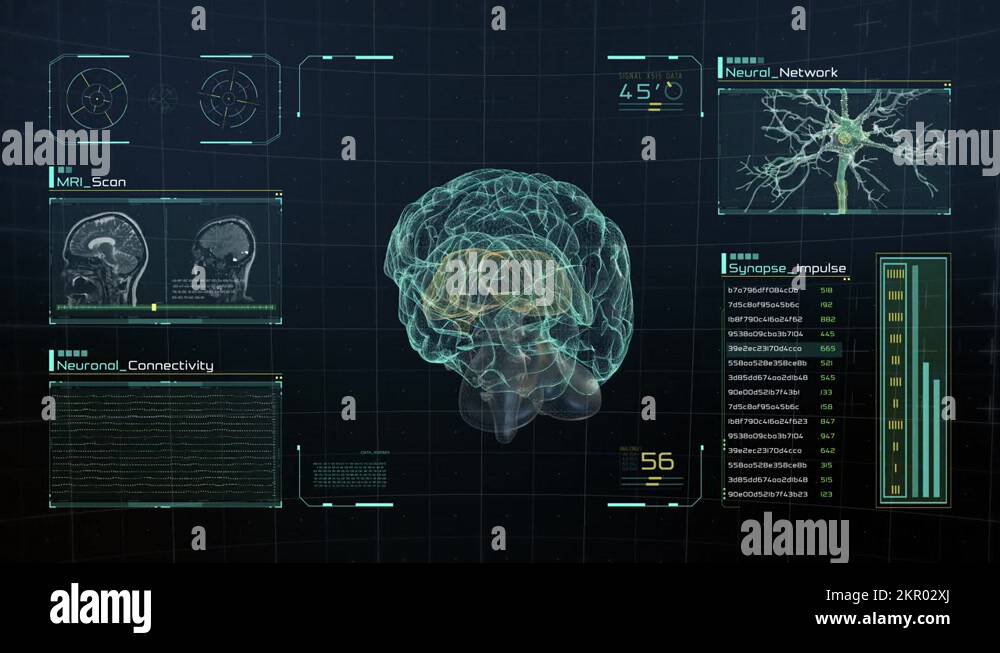 Modern Interface of Human Brain Anatomy Scan with Neurons and Data ...