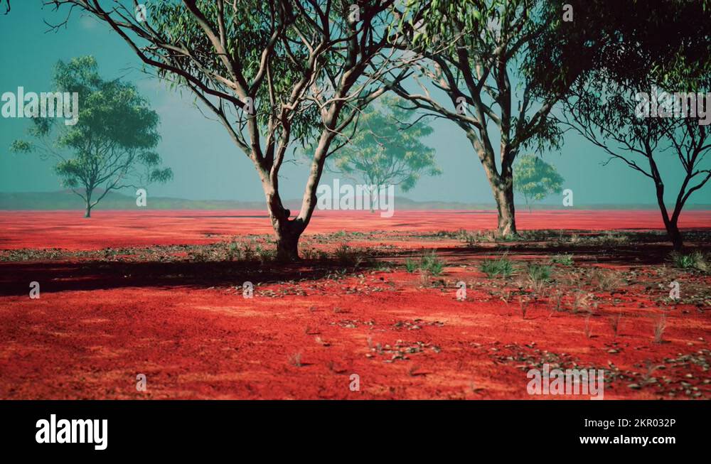 African savanna acacia trees Stock Videos & Footage - HD and 4K Video ...