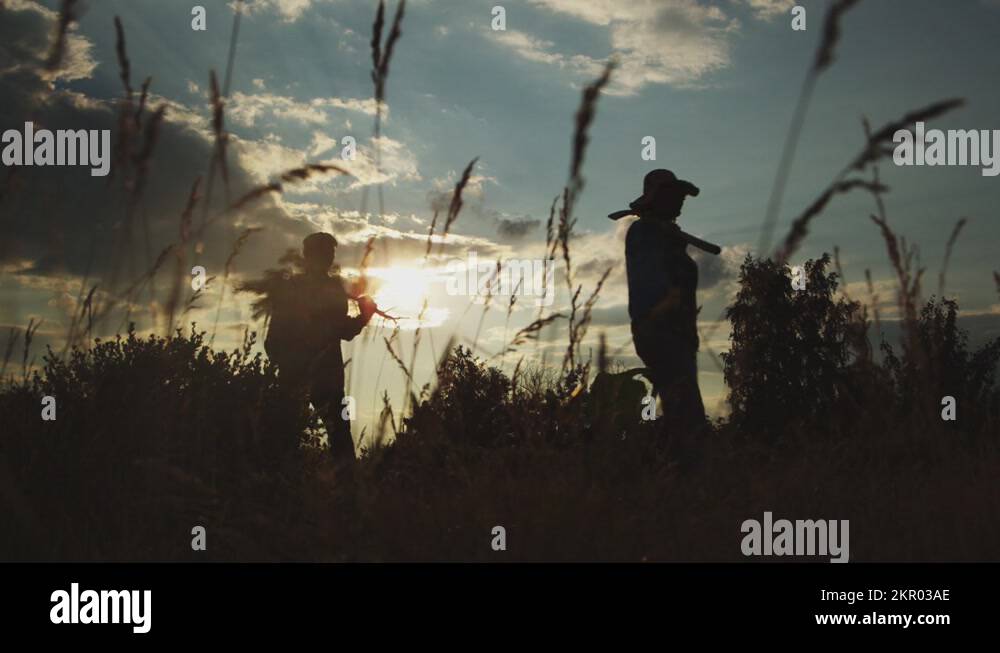 Help nature Stock Videos & Footage - HD and 4K Video Clips - Alamy