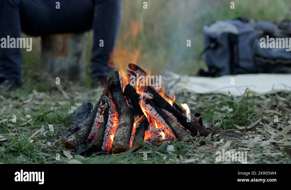 Camper Sitting Around Bonfire In Nature And Burning Wood In Fire Flames ...
