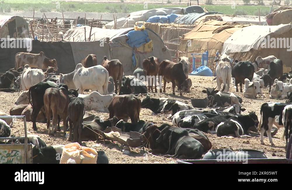 Iran border Stock Videos & Footage - HD and 4K Video Clips - Alamy