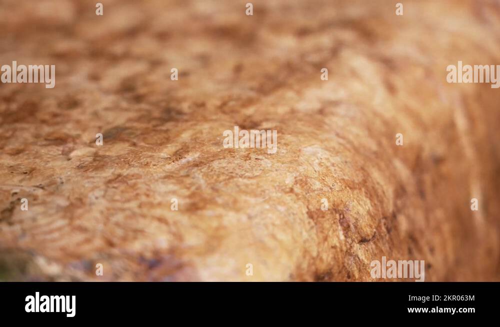 Desert stone texture Stock Videos & Footage - HD and 4K Video Clips - Alamy